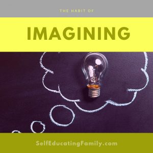 Build the Foundation: Basic Habits for Learning | Self Educating Family