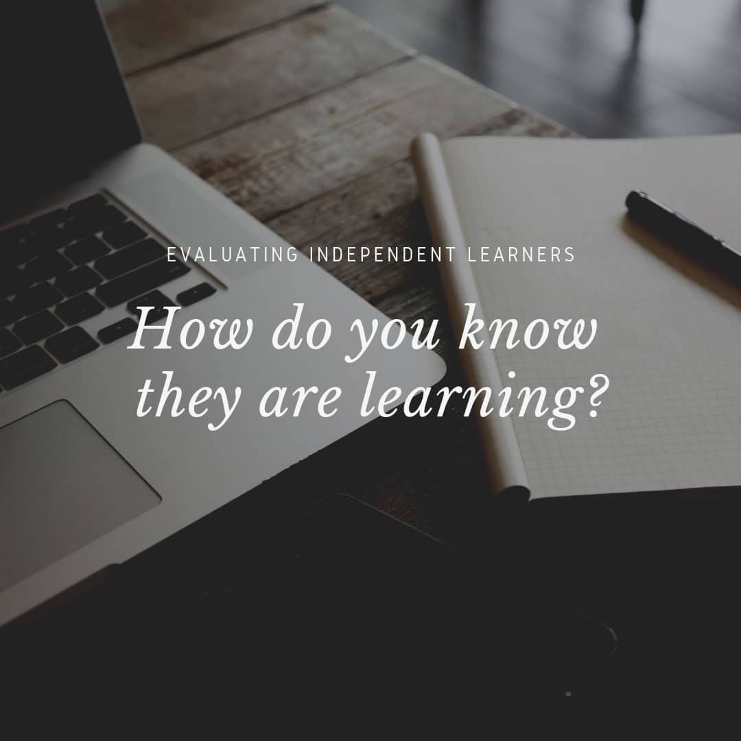 How To Evaluate Independent Learners | Self Educating Family