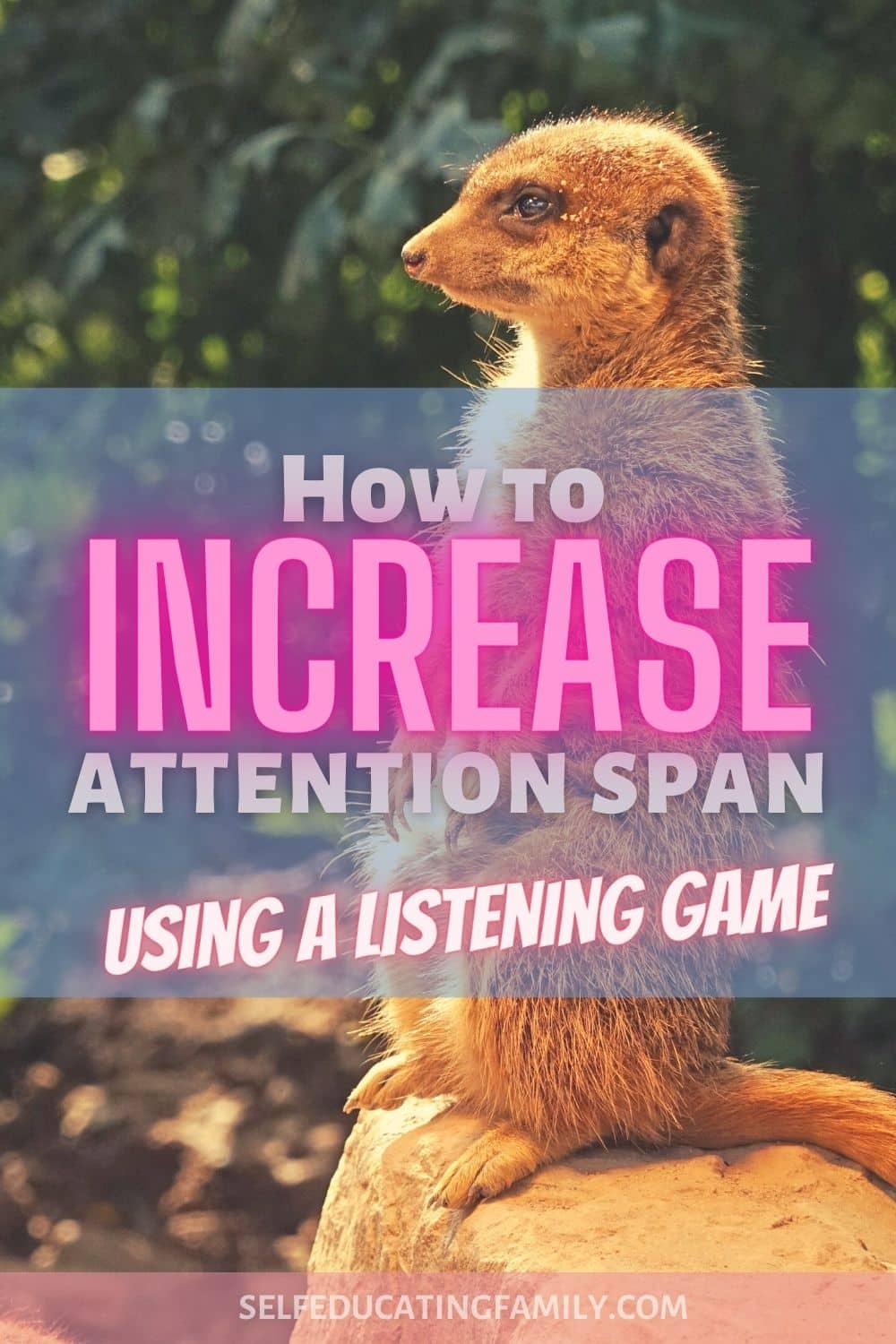 How to increase your attention span | Self Educating Family