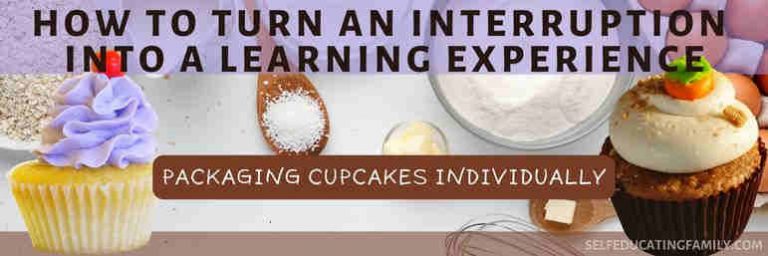 How to Make Packaging Cupcakes Individually a Learning Experience ...