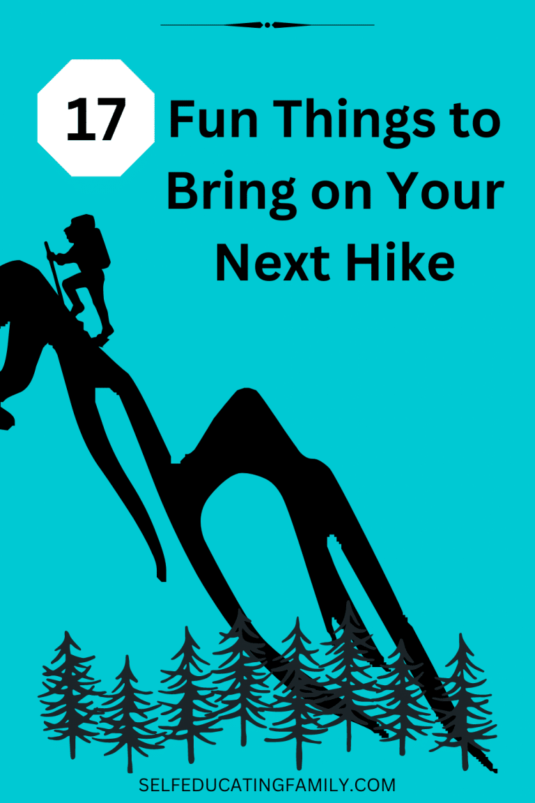 17 Fun Things to Bring on Your Next Hike | Self Educating Family