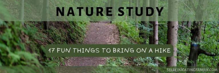 17 Fun Things to Bring on Your Next Hike | Self Educating Family