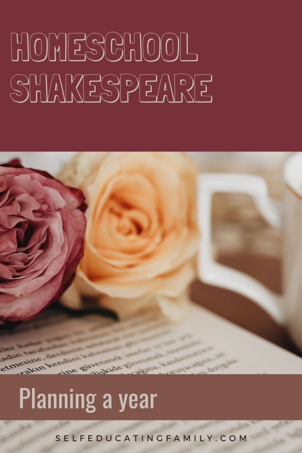 How to Plan Shakespeare for Your Homeschool Year | Self Educating Family