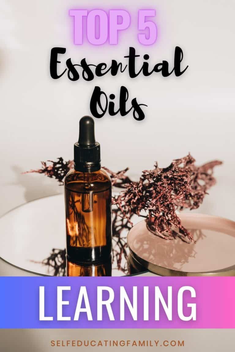 Top 5 Essential Oils: Learning Aromatherapy for Beginners | Self ...
