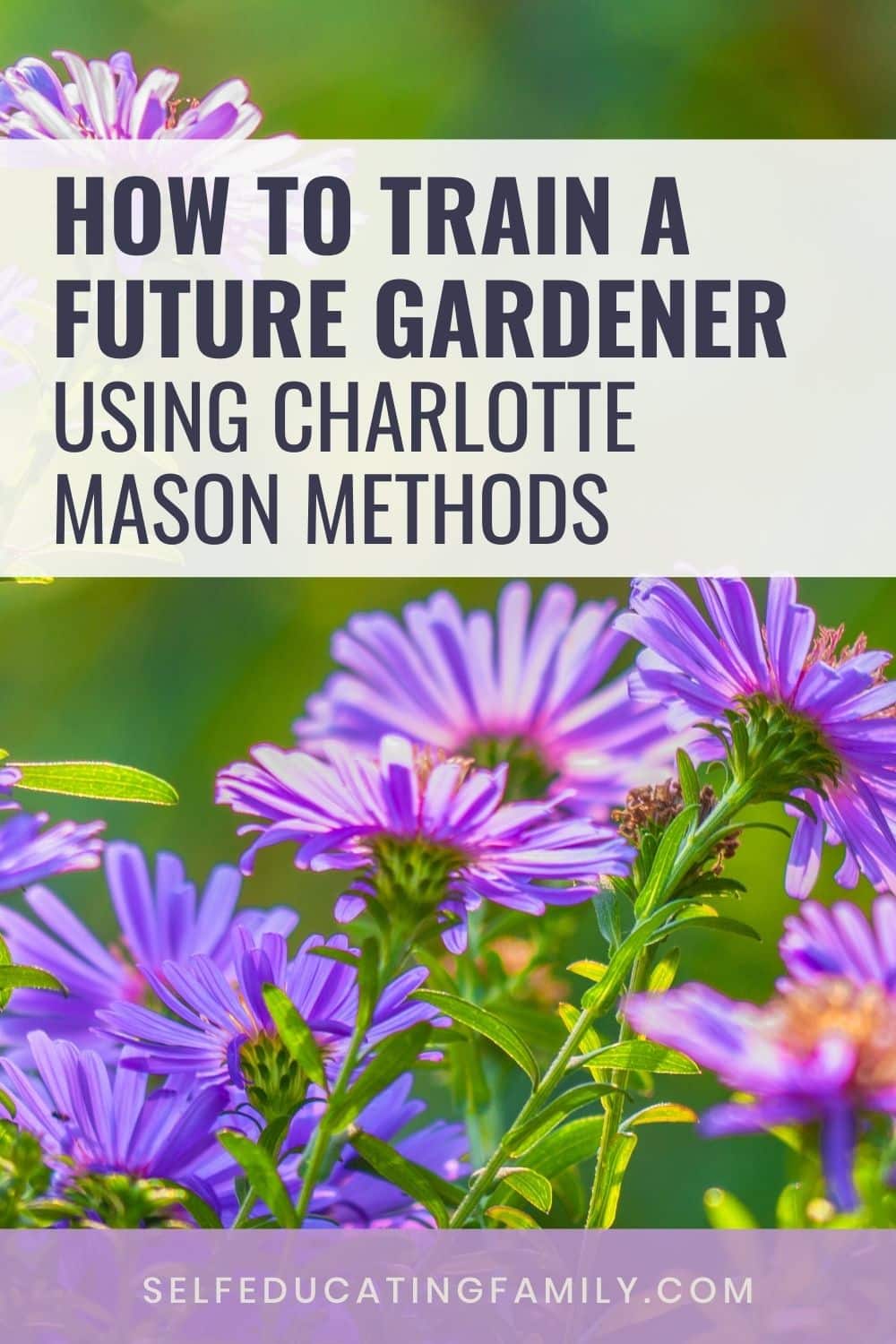 How to Train a Future Gardener: Work in the Garden as Handicraft | Self ...