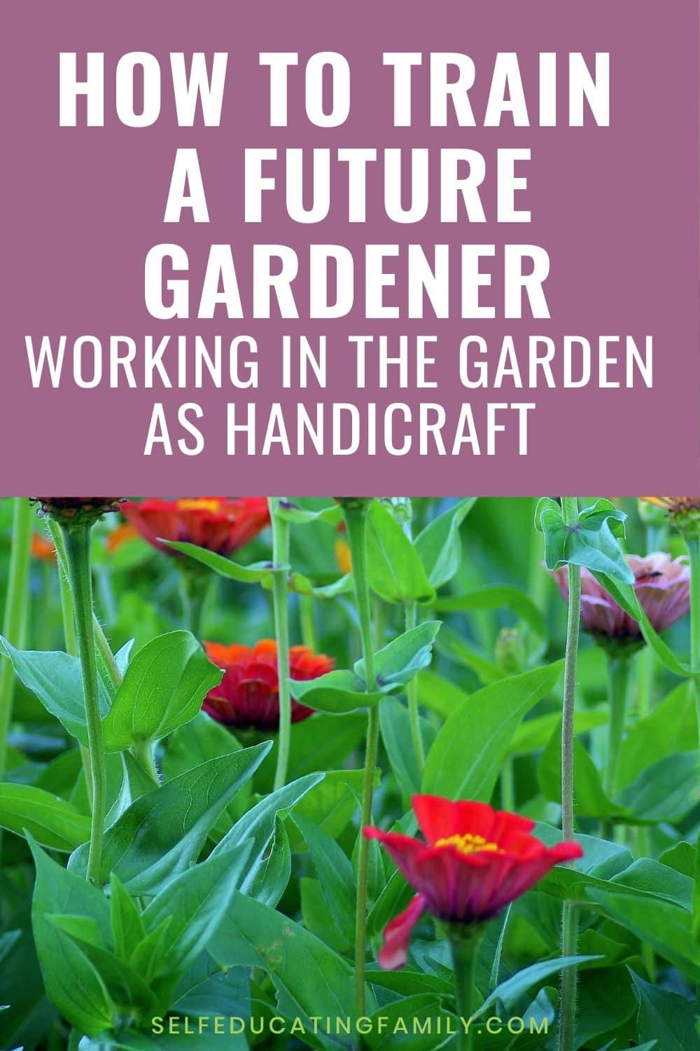 How to Train a Future Gardener: Work in the Garden as Handicraft | Self ...
