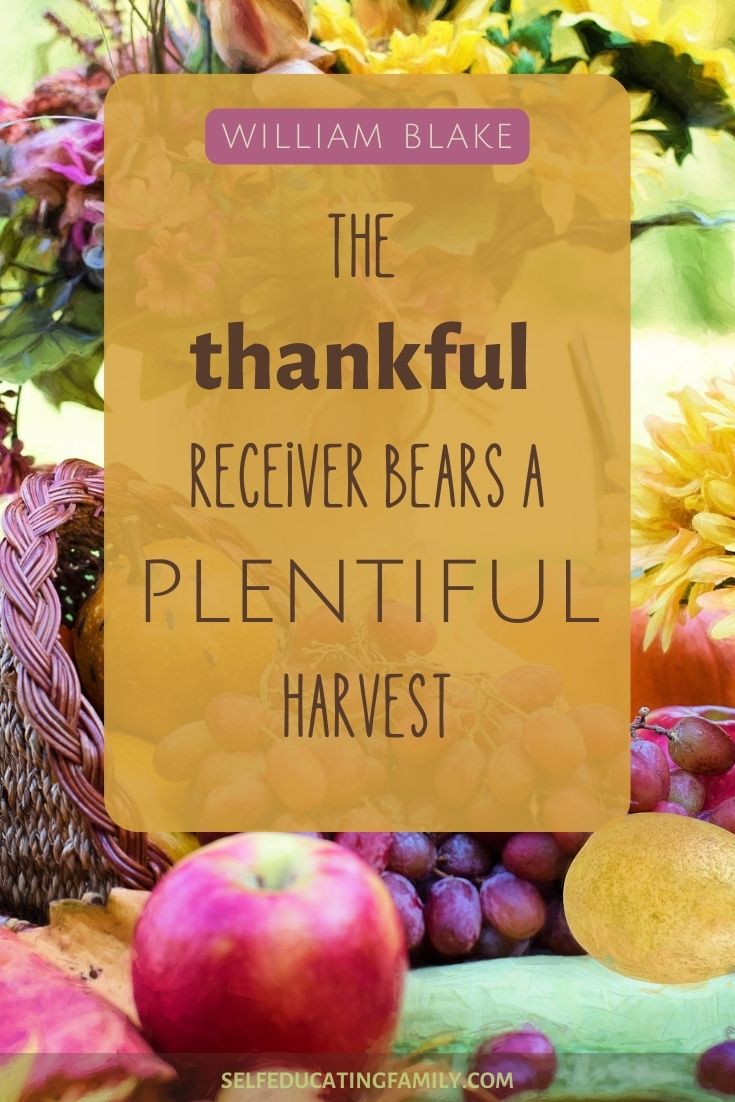 Thanksgiving gratitude activities | Self Educating Family