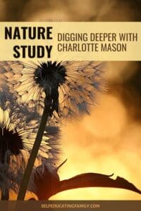 Digging Deeper with Charlotte Mason Nature Study | Self Educating Family
