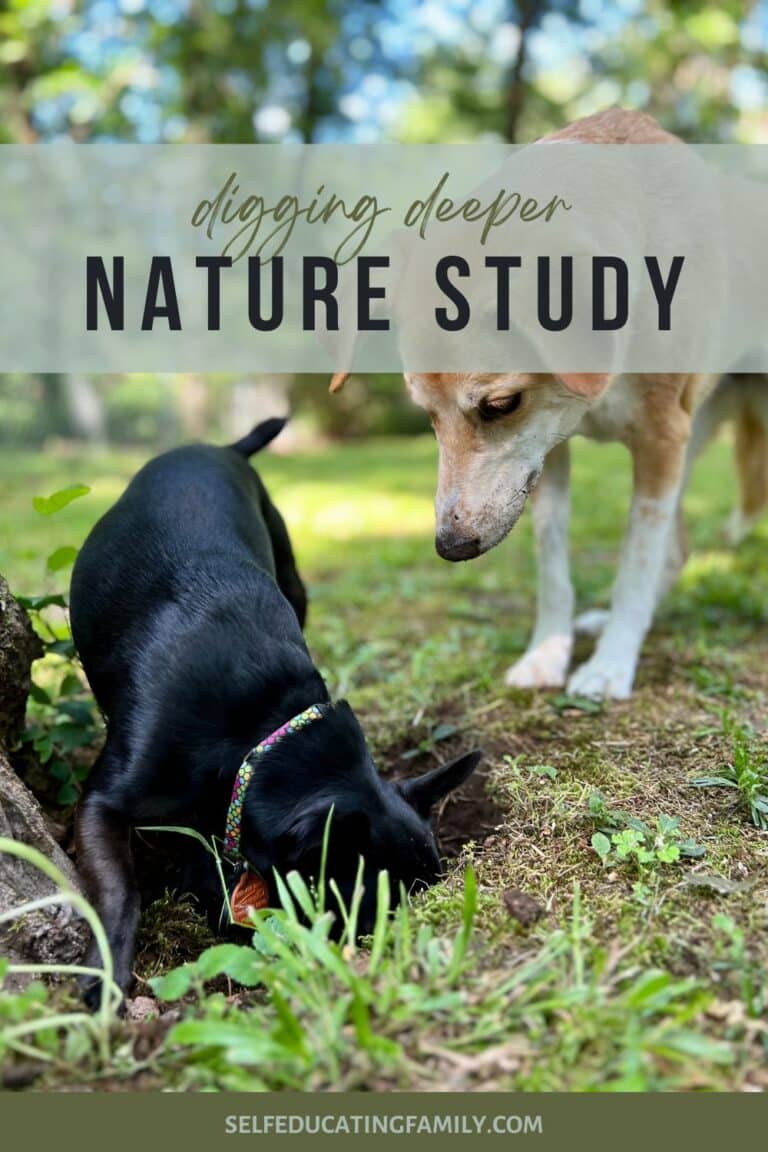 Digging Deeper with Charlotte Mason Nature Study | Self Educating Family