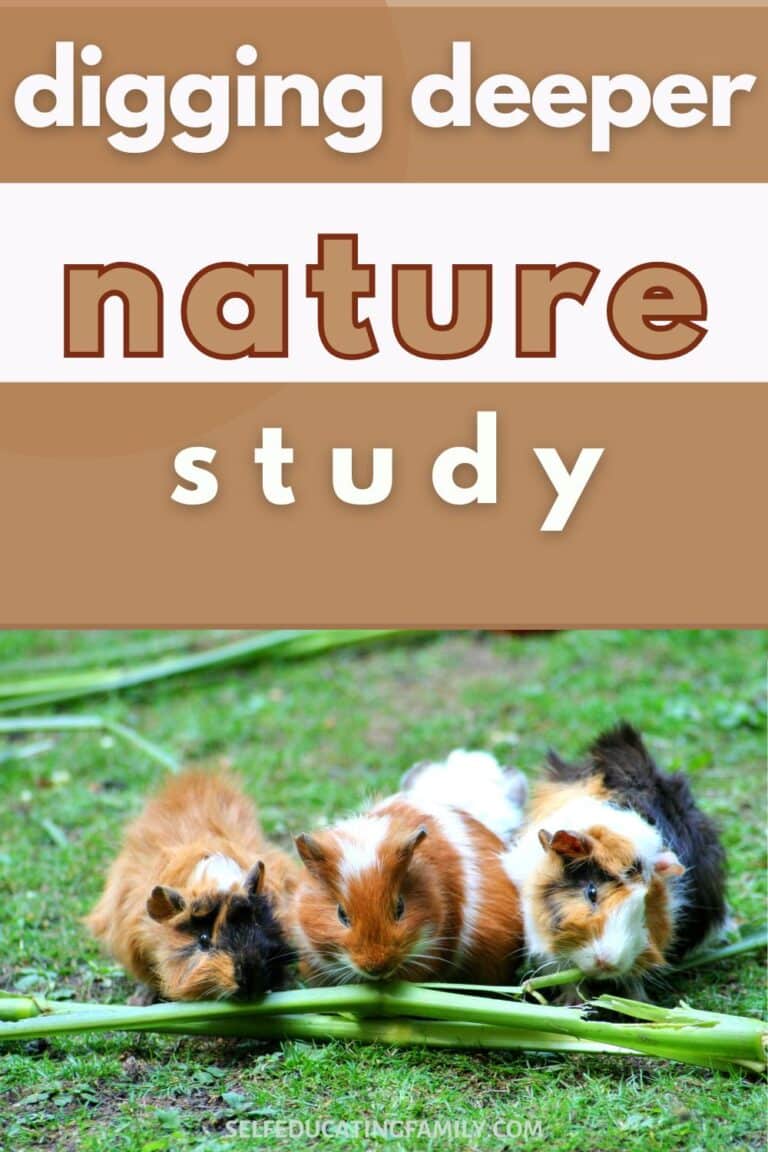 Digging Deeper with Charlotte Mason Nature Study | Self Educating Family