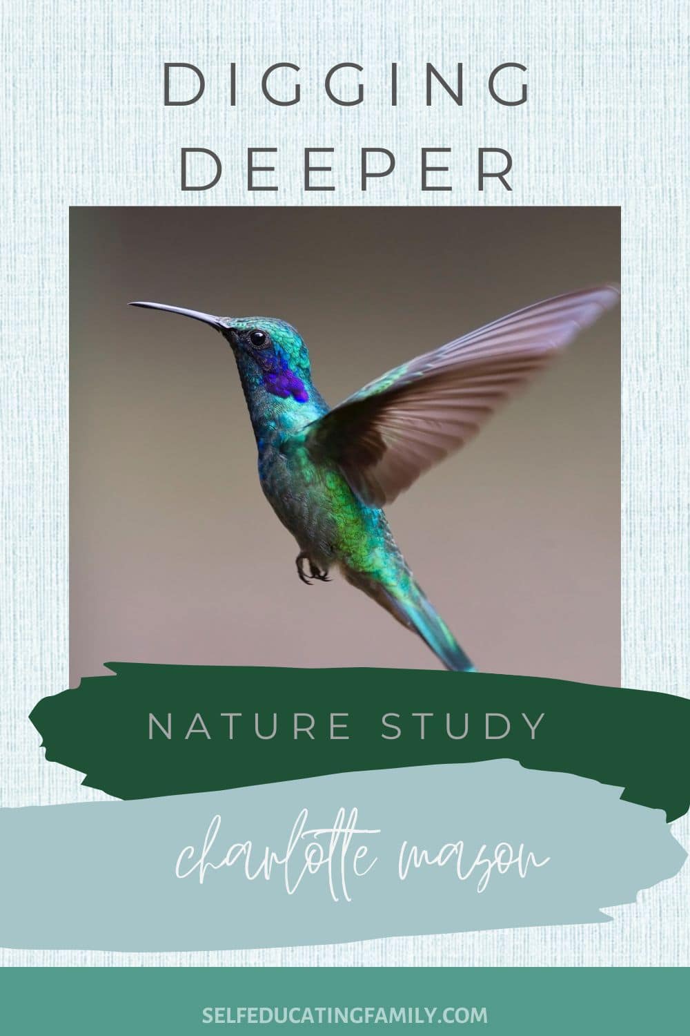 Digging Deeper with Charlotte Mason Nature Study | Self Educating Family