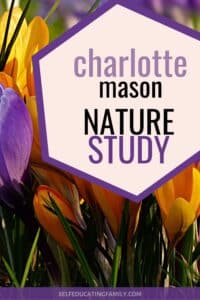 What is Nature Study? The Basics | Self Educating Family