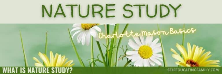 What is Nature Study? The Basics | Self Educating Family