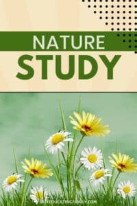 What is Nature Study? The Basics | Self Educating Family