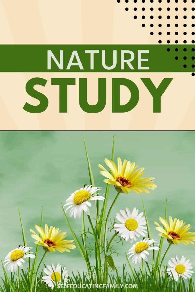 What is Nature Study? The Basics | Self Educating Family