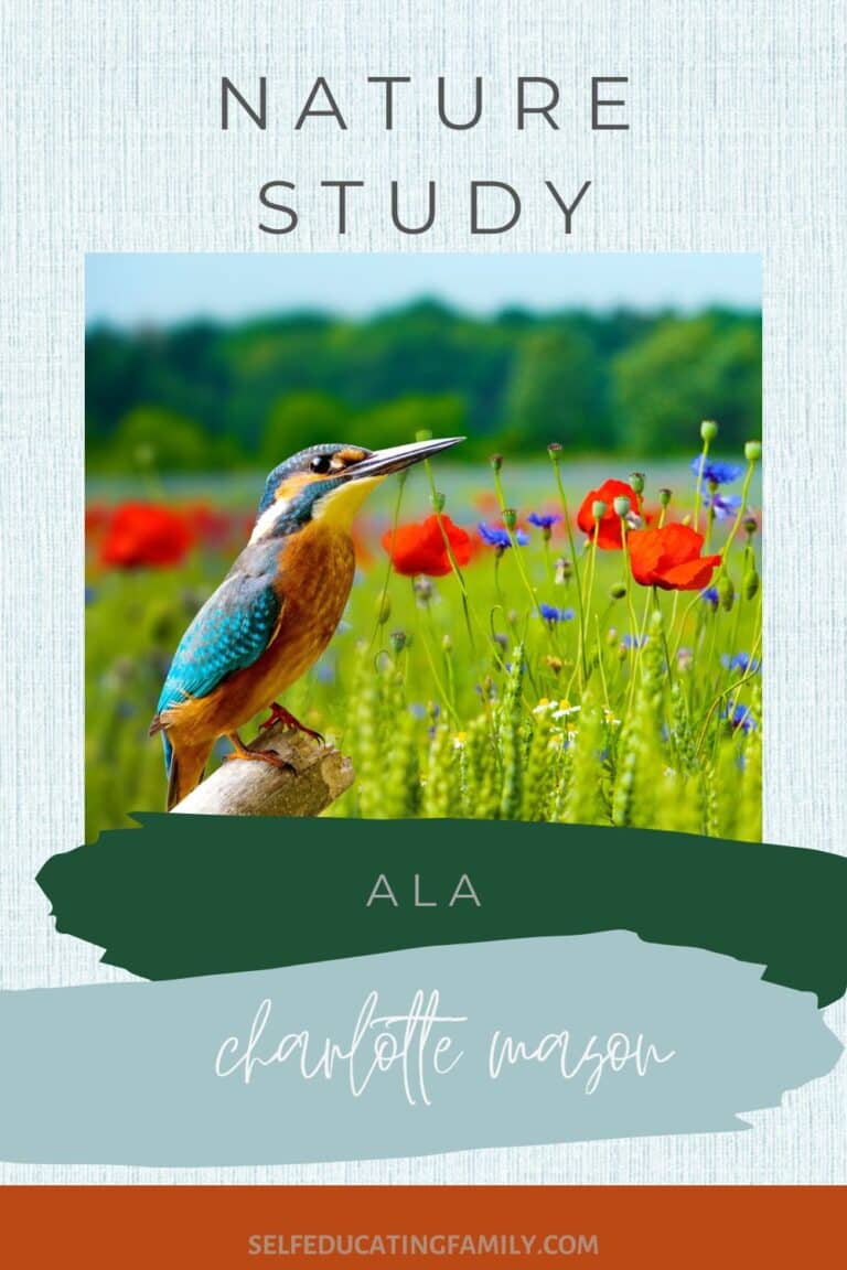 What is Nature Study? The Basics | Self Educating Family