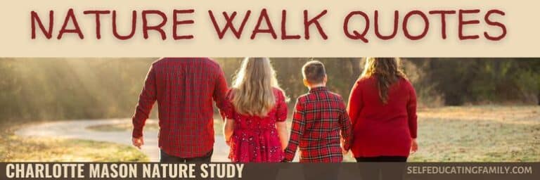 Nature Walk Quotes | Self Educating Family