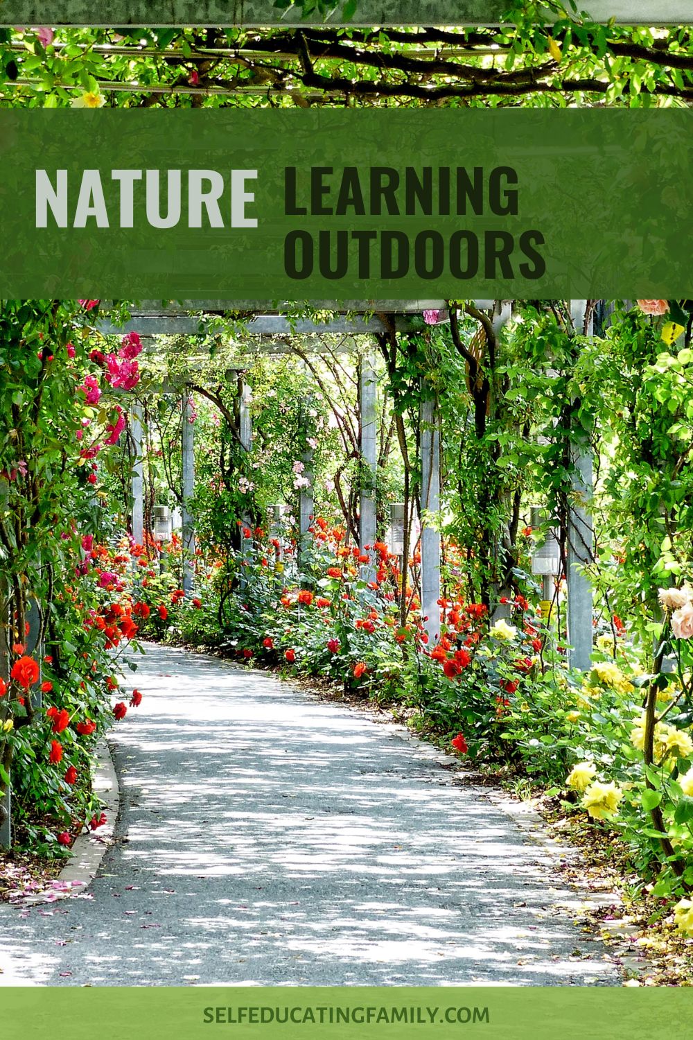 Planning for Learning Outdoors | Self Educating Family
