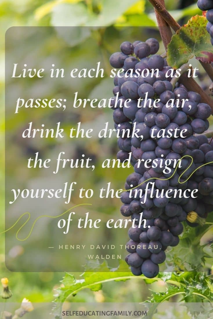 Nature Walk Quotes | Self Educating Family