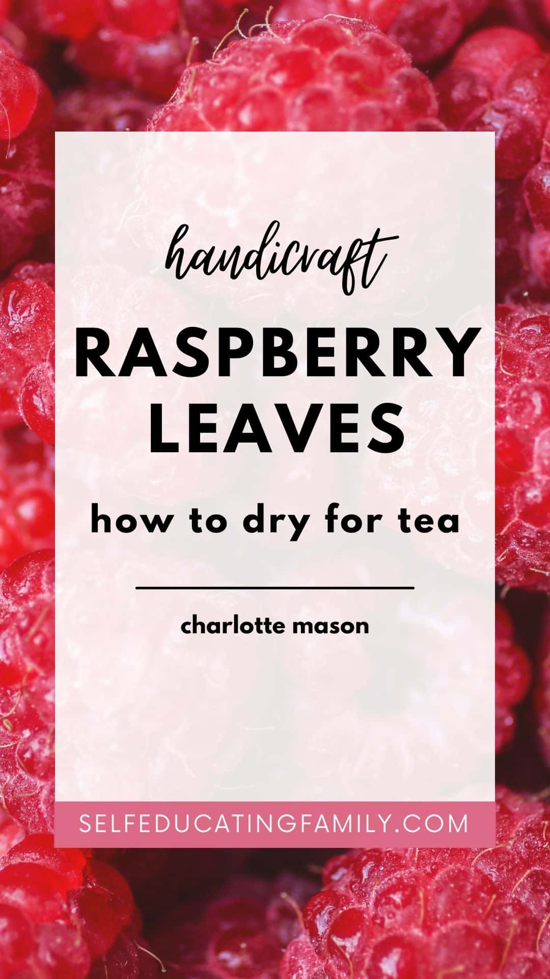 How to Dry Raspberry Leaves | Self Educating Family