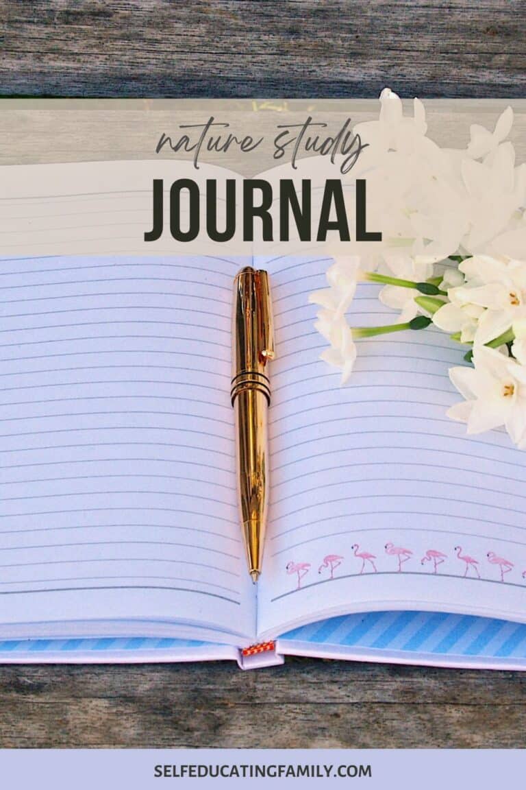 How to Start a Nature Journal for Kids | Self Educating Family