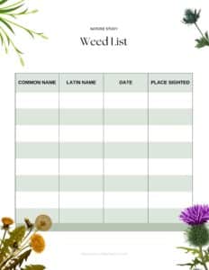 How to Start a Nature Journal for Kids | Self Educating Family