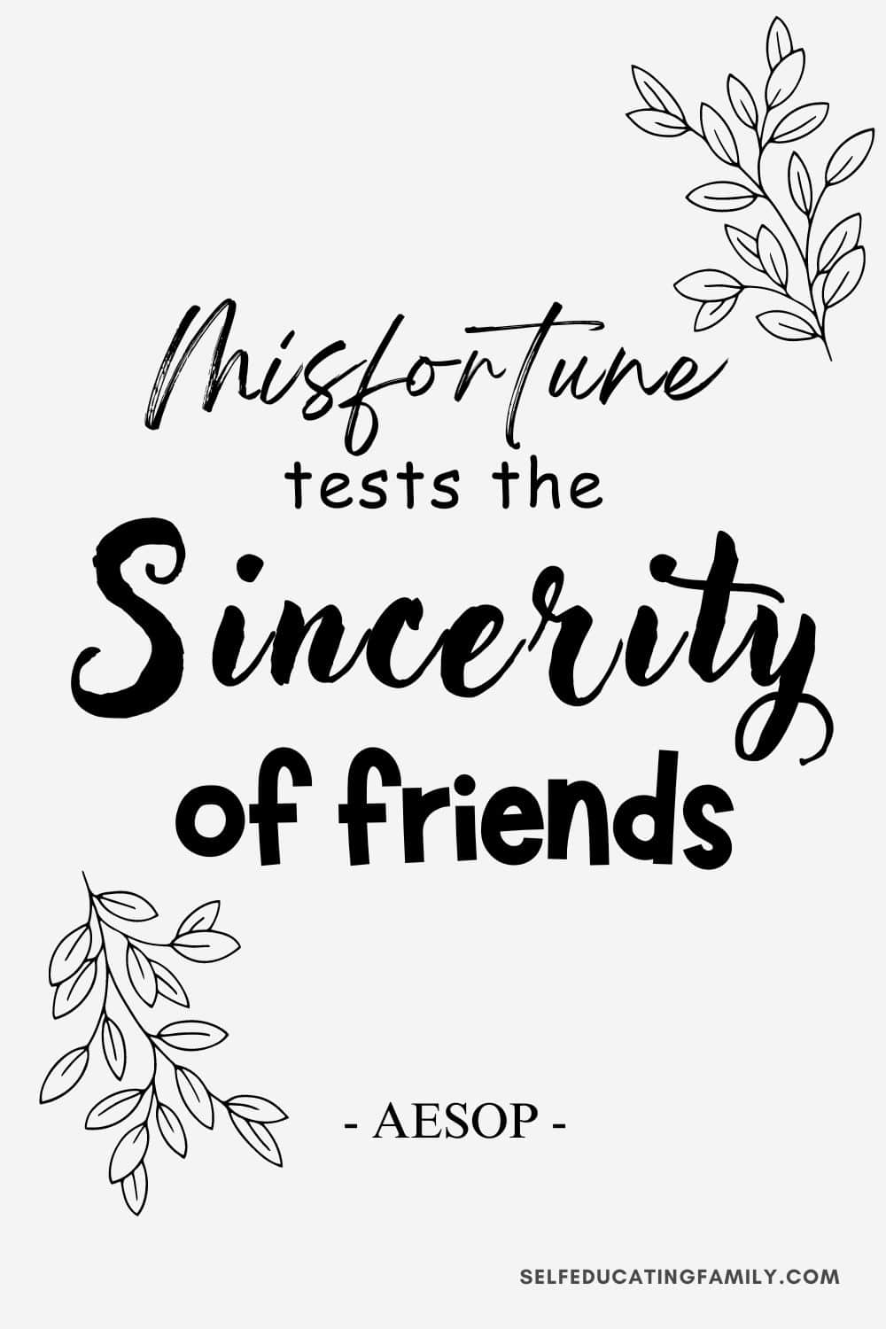 Aesop's Quotes | Self Educating Family