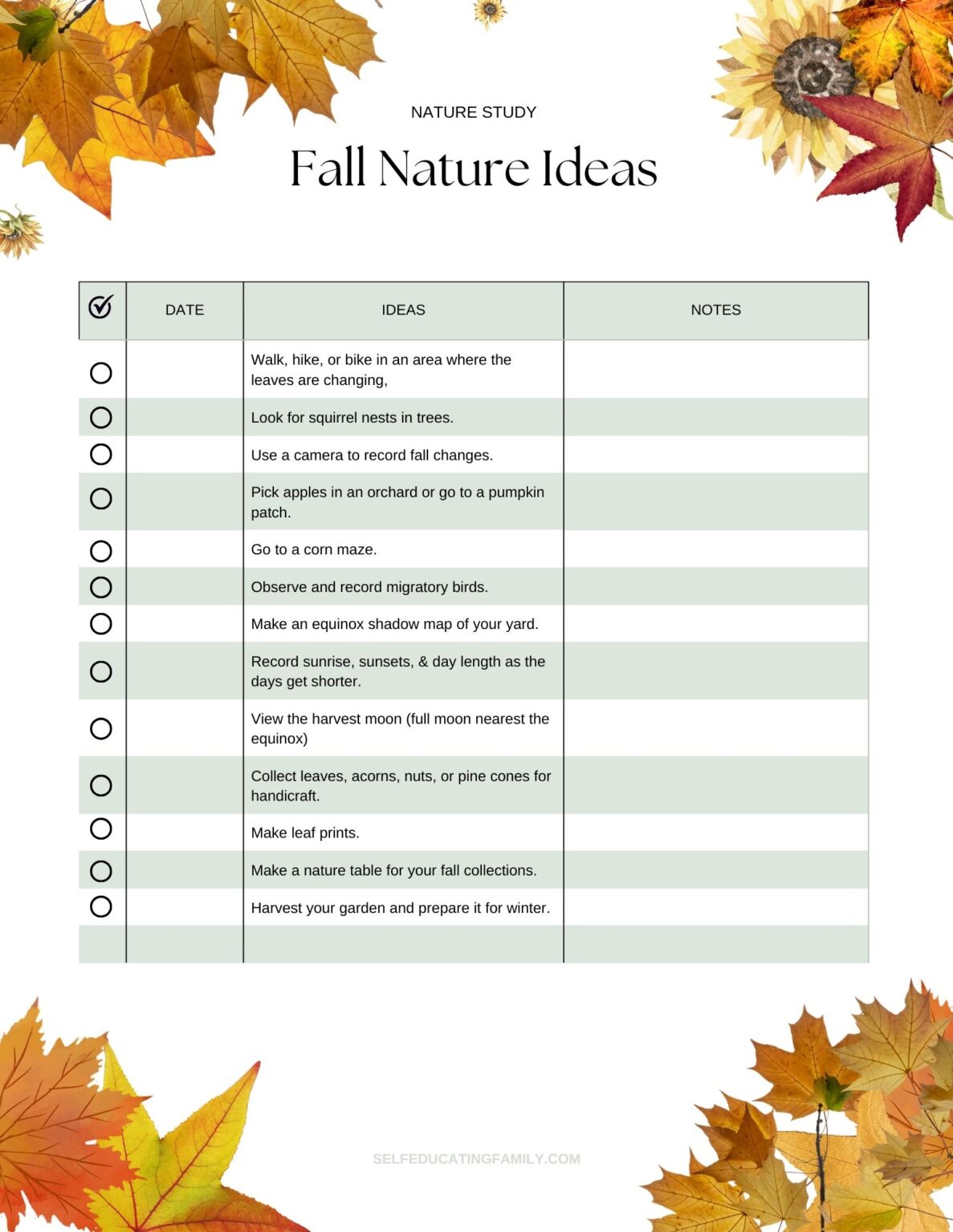 Fall Nature Study Ideas | Self Educating Family