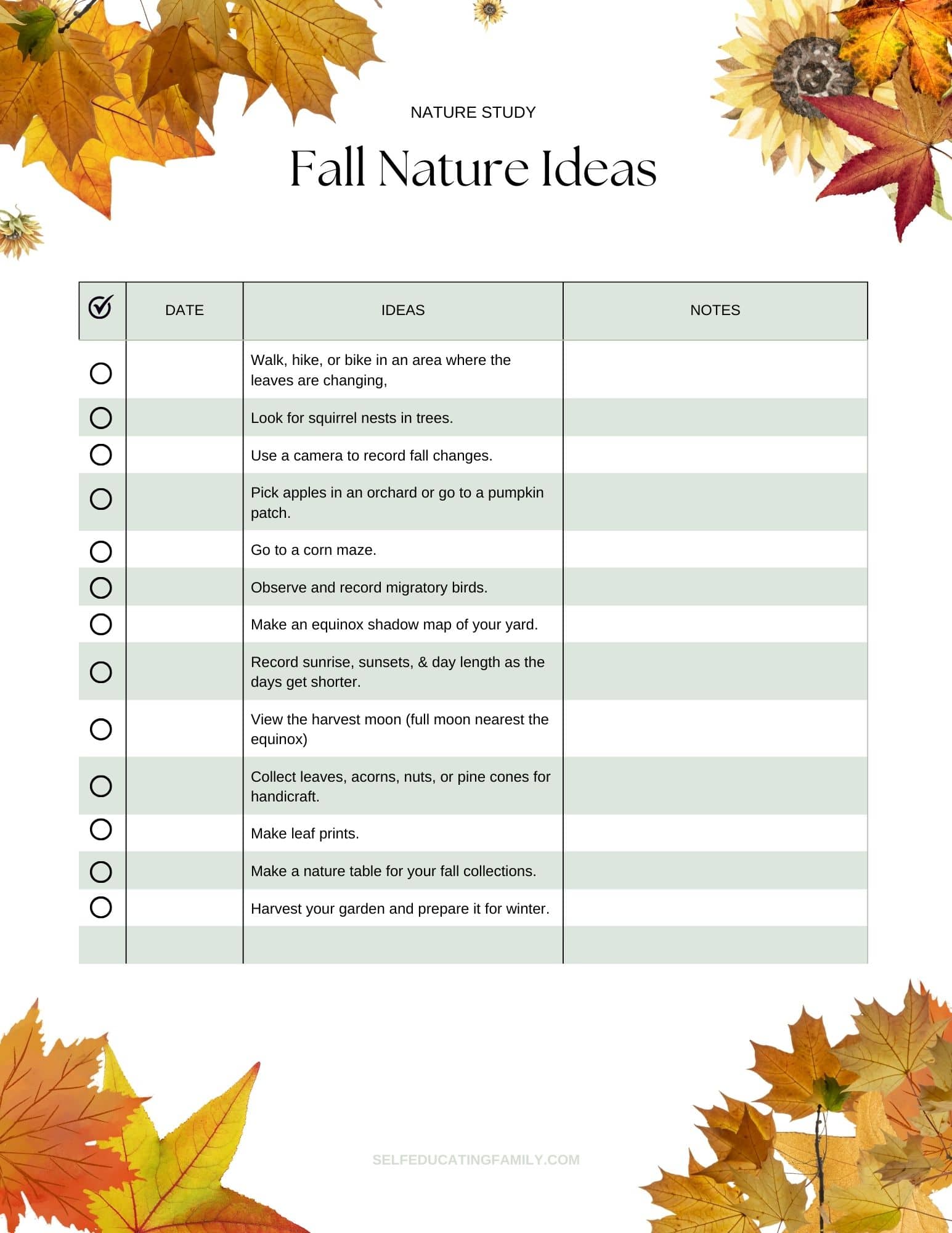 Fall Nature Study Ideas | Self Educating Family