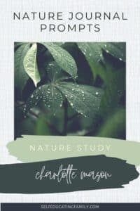 Nature Journal Prompts | Self Educating Family
