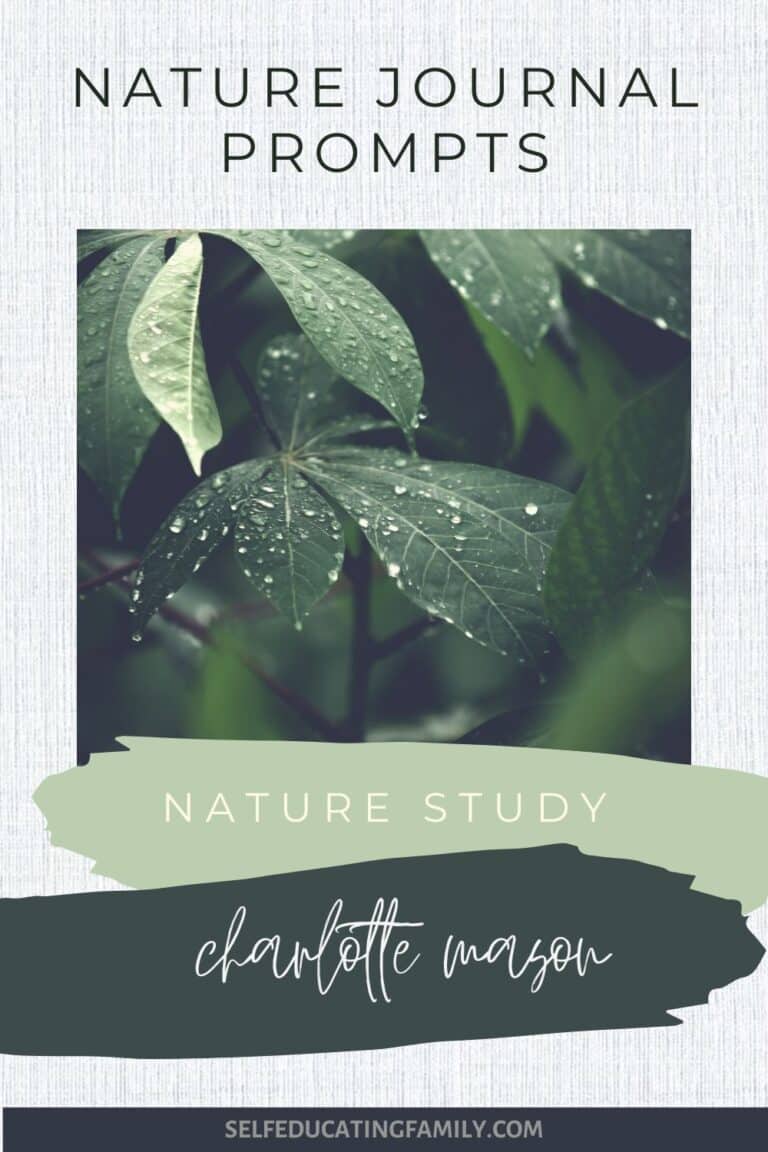 Nature Journal Prompts | Self Educating Family