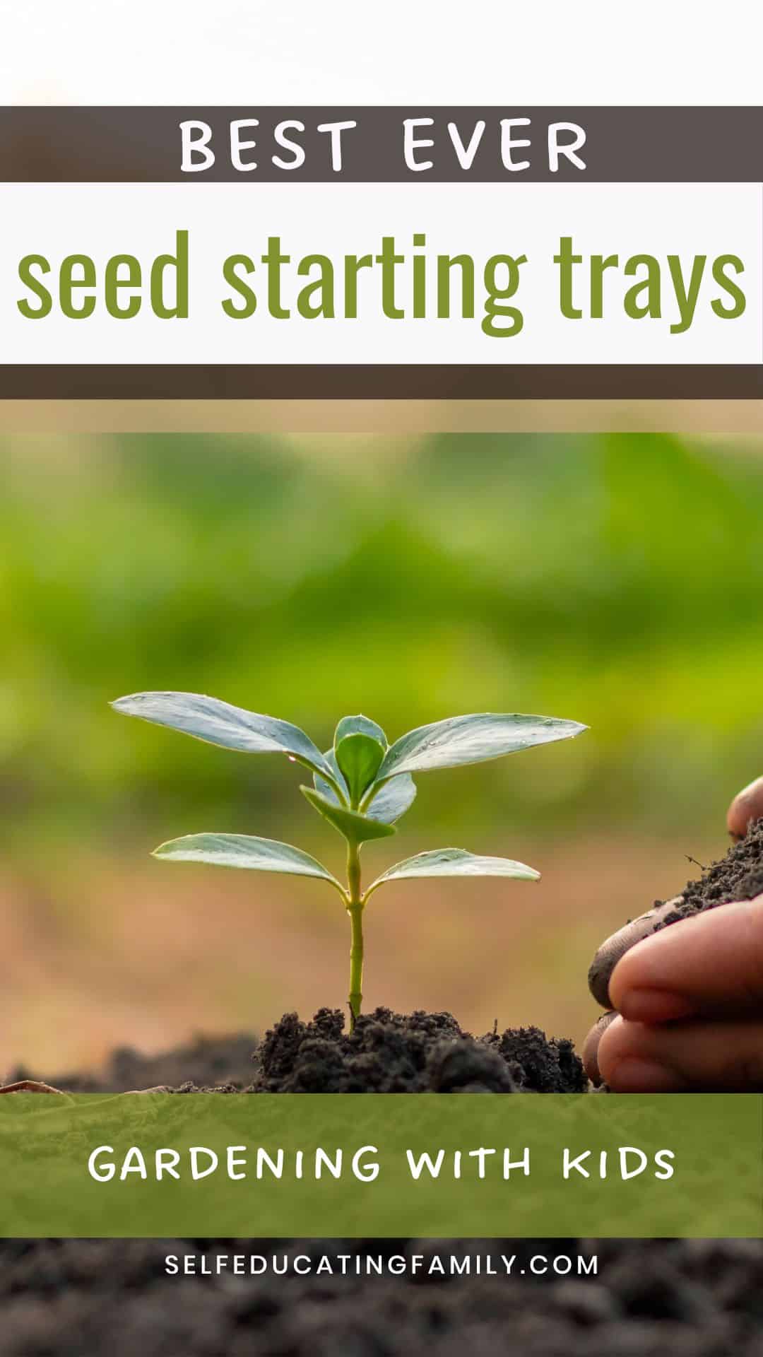 Best Seed Starting Trays EVER!! | Self Educating Family