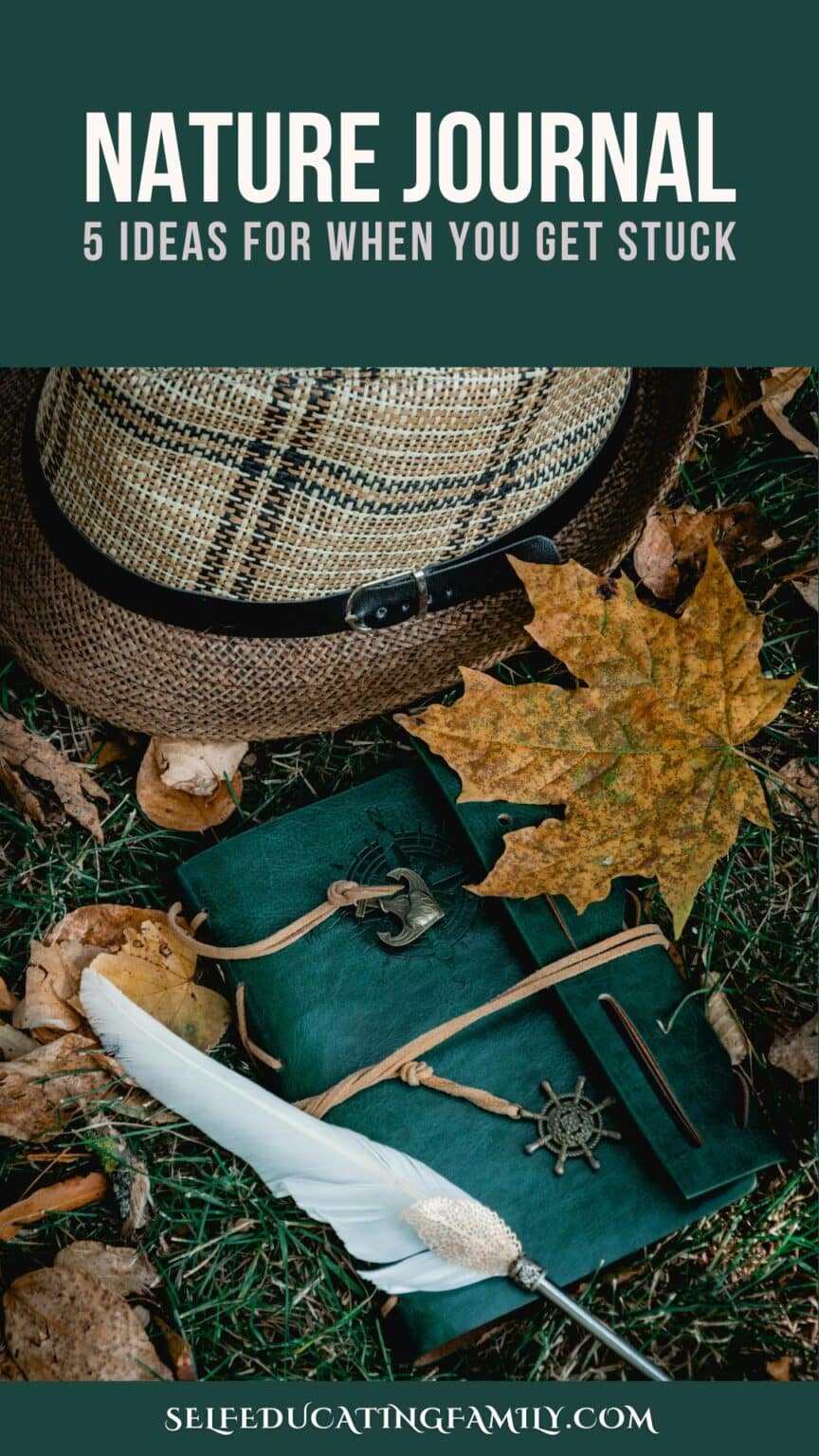 Nature Journaling Ideas: Using Words & “Rules” | Self Educating Family