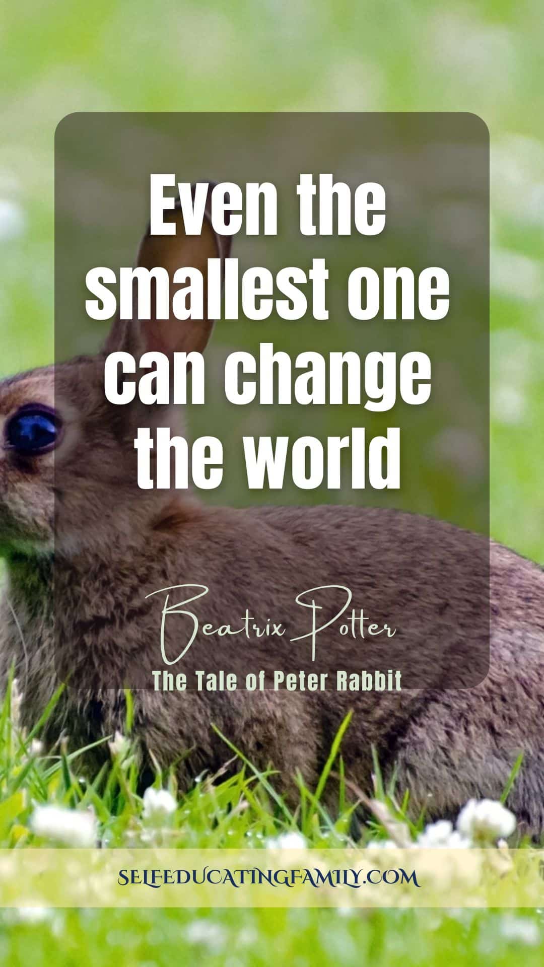 Beatrix Potter Quotes | Self Educating Family